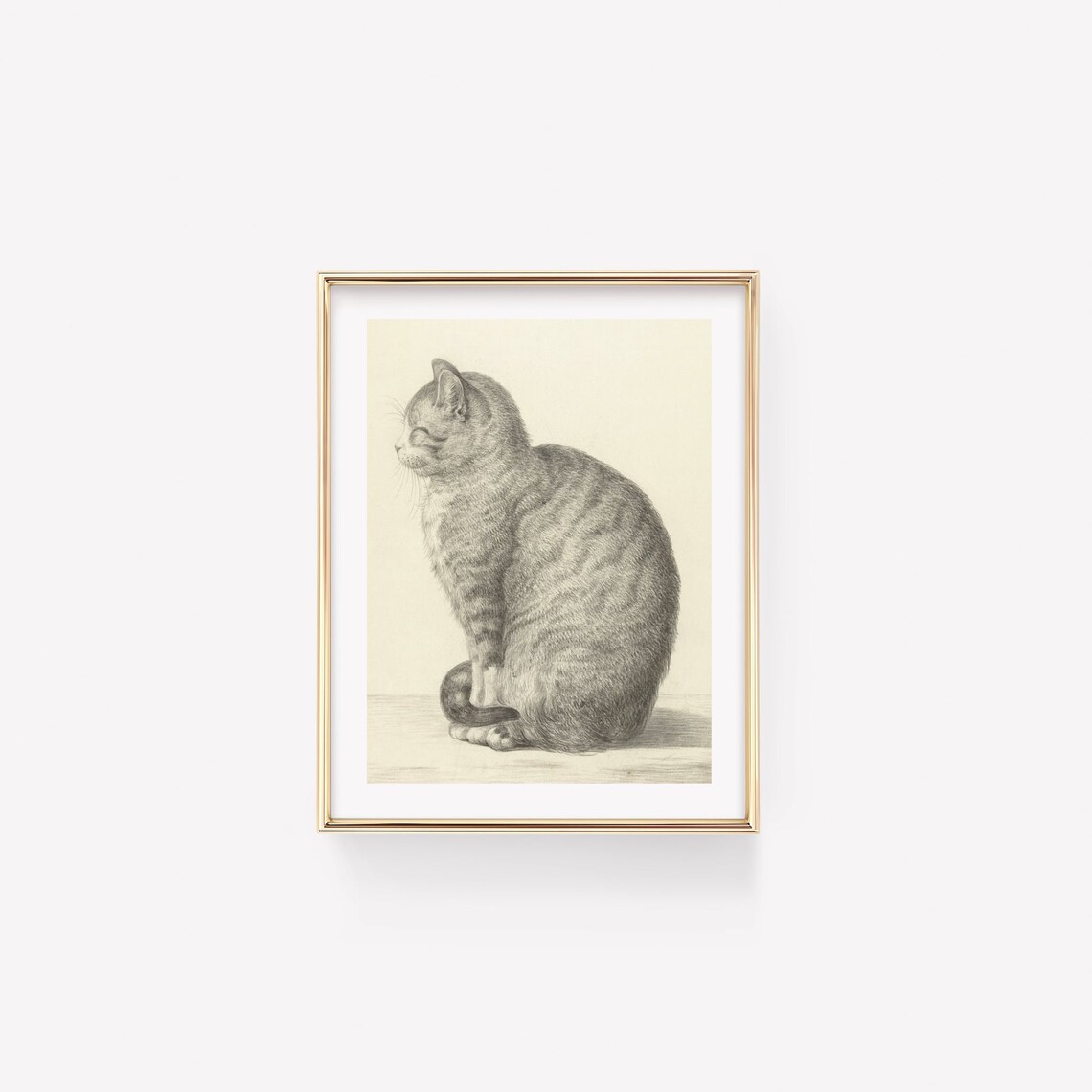 Vintage Cat Drawing | Cat Art | Antique Sketch | Vintage Animal Print ...
