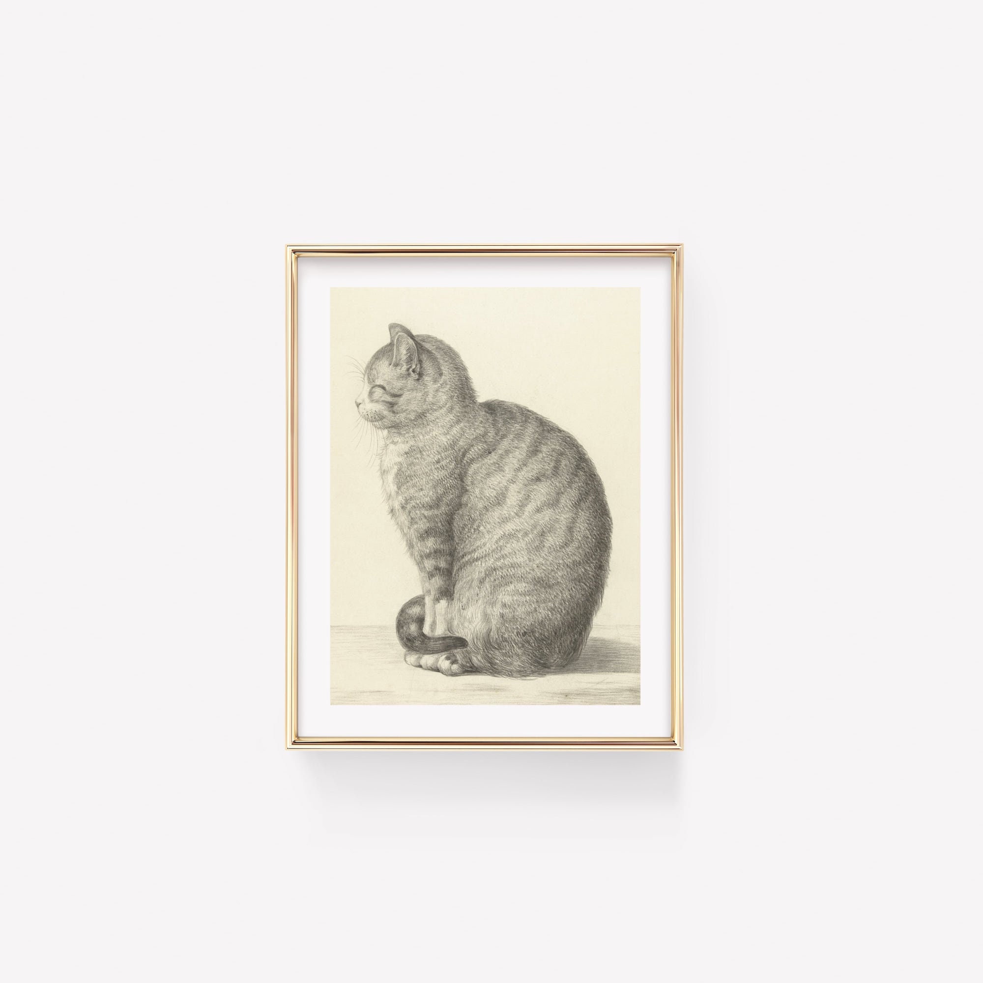 Vintage Cat Drawing Cat Art Antique Sketch Vintage | Etsy