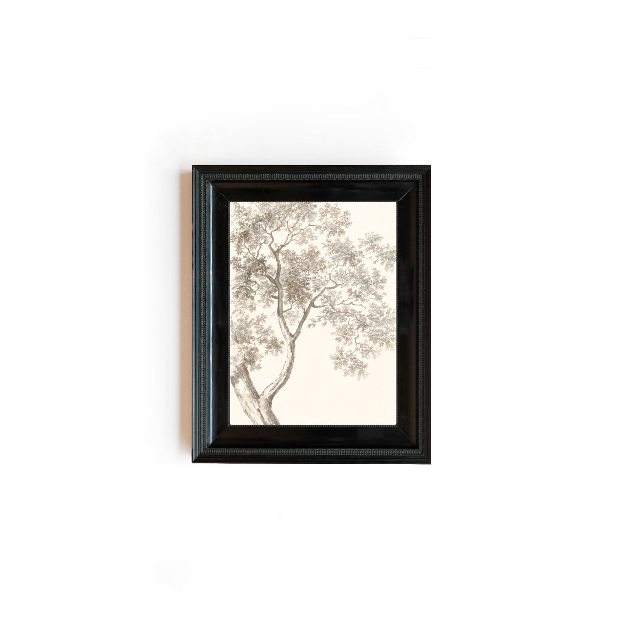Vintage Tree Drawing | Tree Painting | Nature Art Print | Farmhouse ...