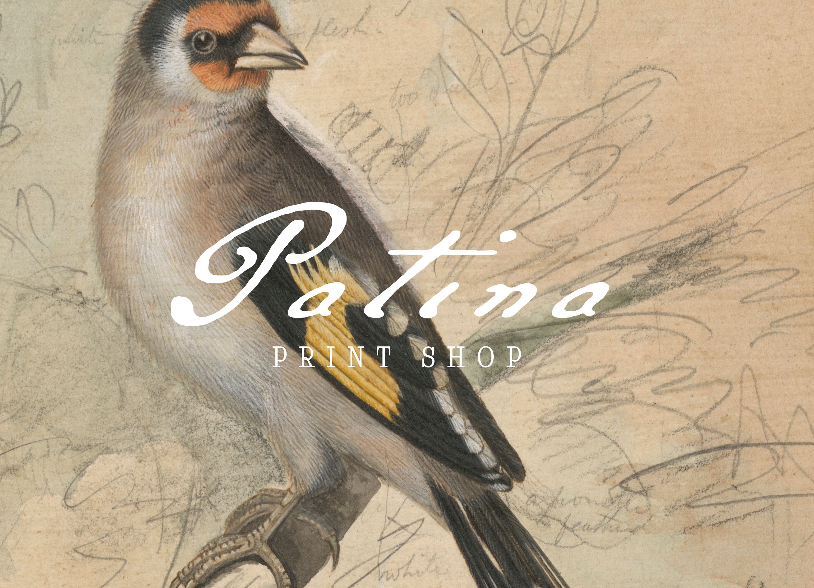 Vintage Bird Art Print Bird Painting Antique Farmhouse - Etsy