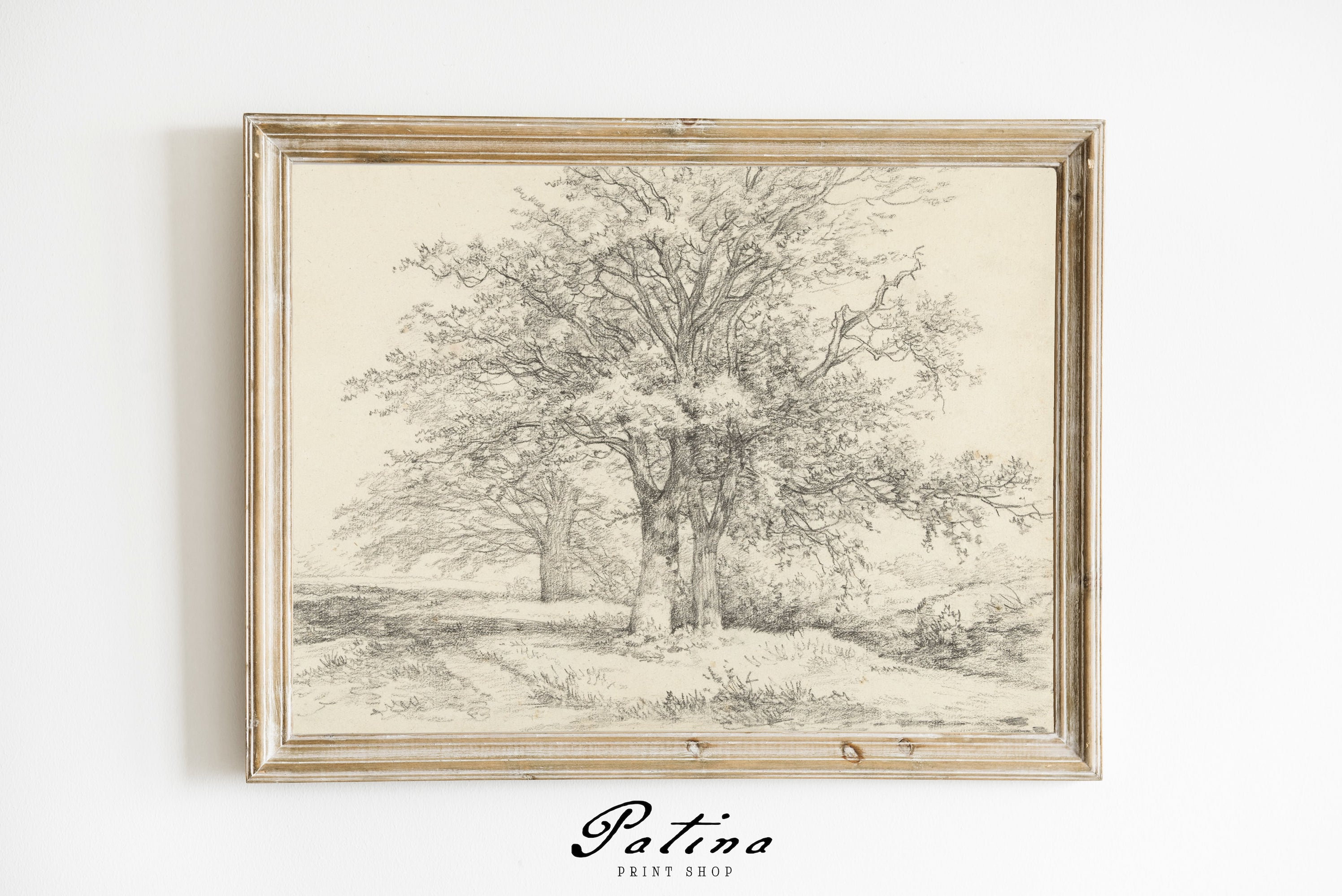 Vintage Tree Drawing | Nature Print | Botanical Sketch Art | Farmhouse ...