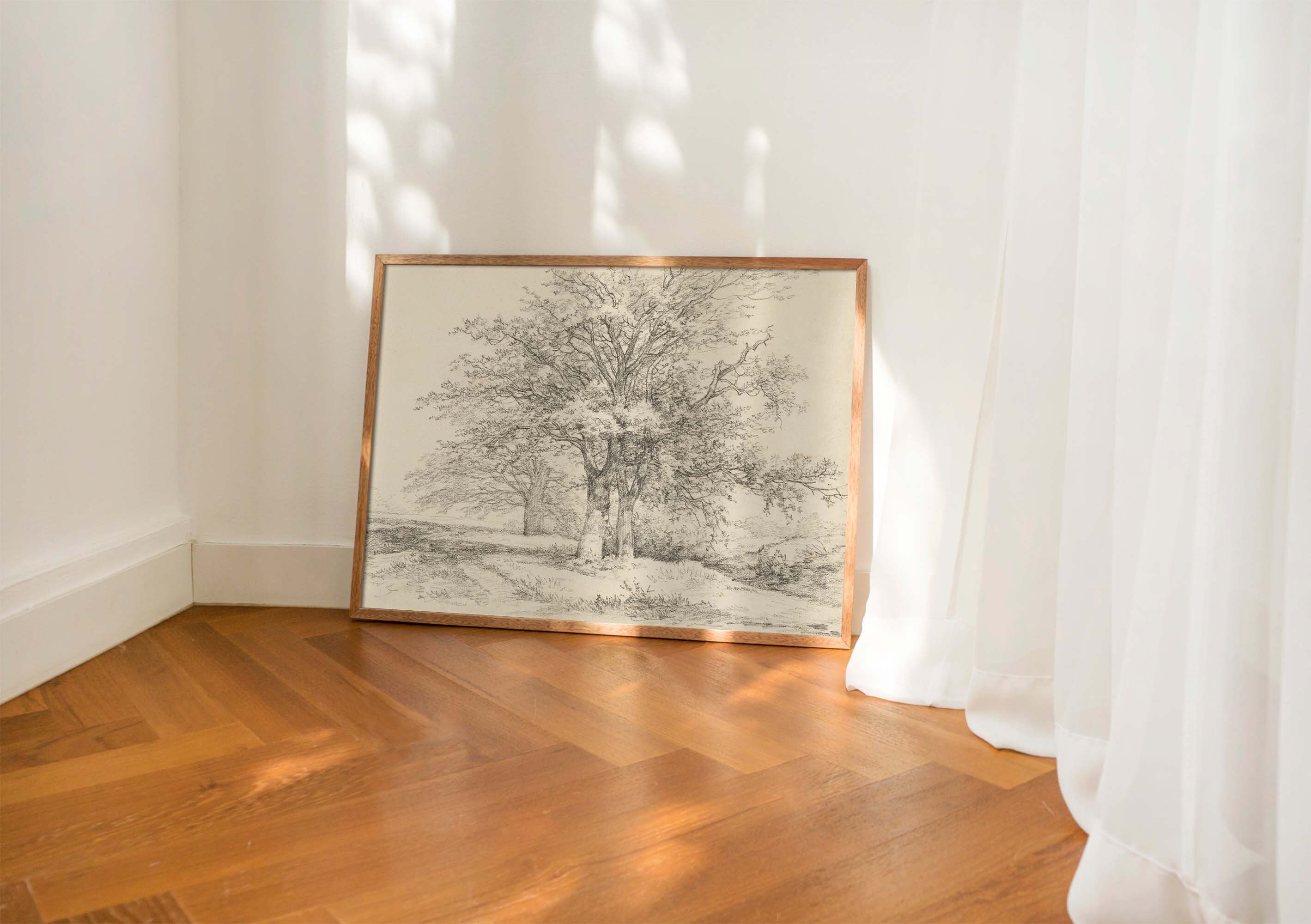 Vintage Tree Drawing | Nature Print | Botanical Sketch Art | Farmhouse ...