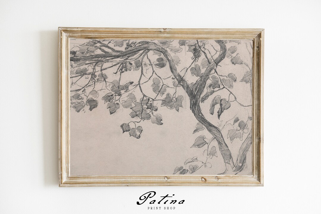 Vintage Tree Drawing | Leaf Drawing | Botanical Art | Antique Drawing ...