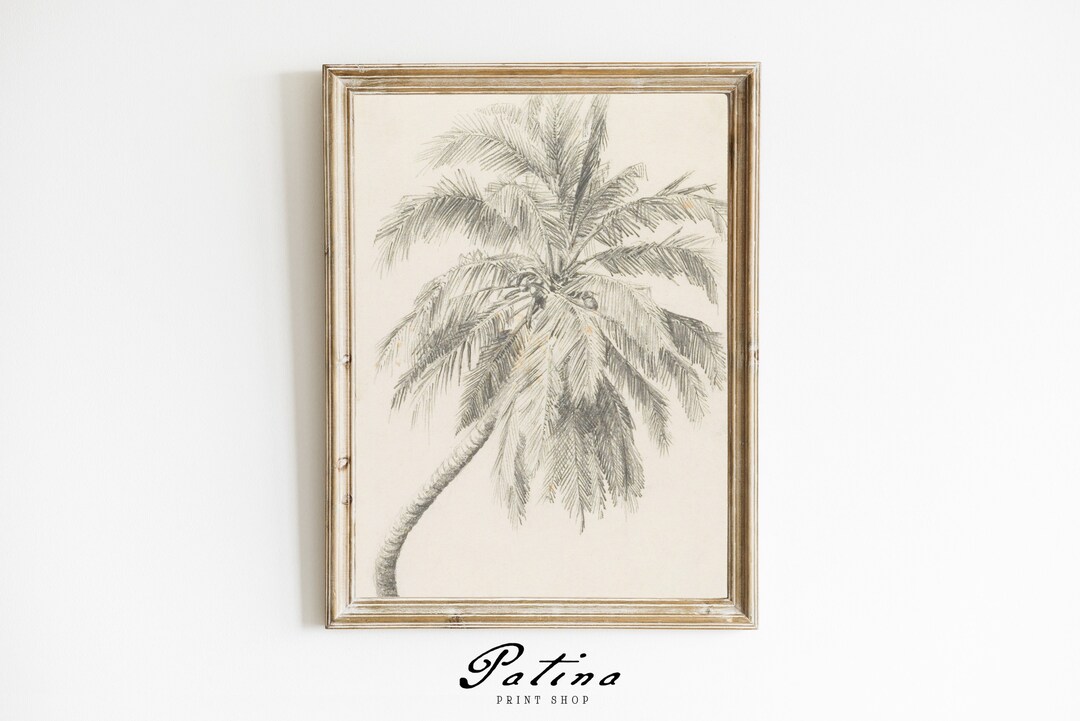 Palm Tree Print | Vintage Tree Drawing | Beach Decor | Coastal Art ...