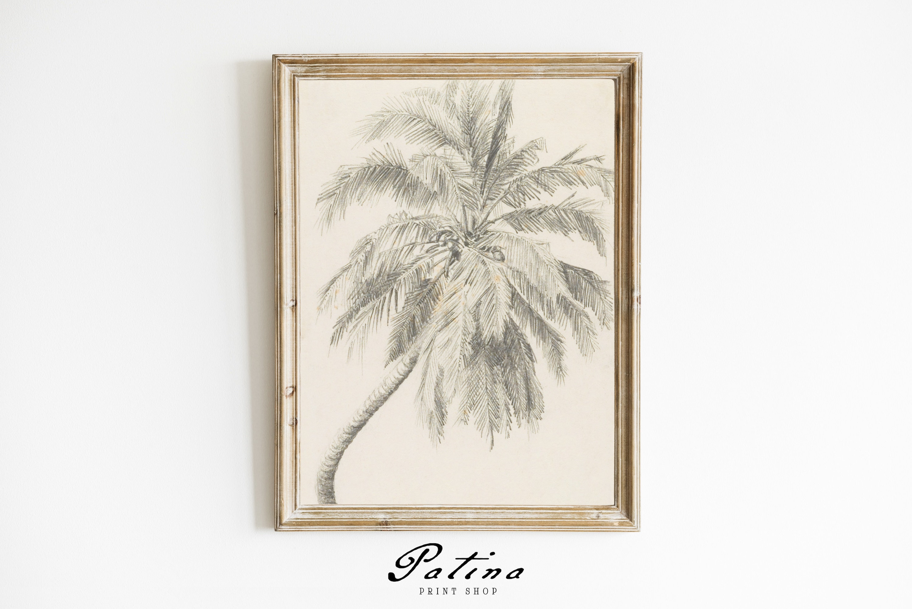 Palm Tree Print | Vintage Tree Drawing | Beach Decor | Coastal Art ...