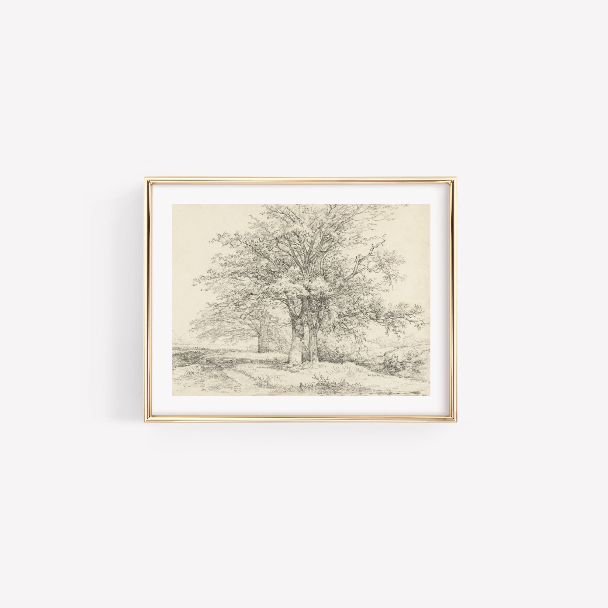 Vintage Tree Drawing | Nature Print | Botanical Sketch Art | Farmhouse ...