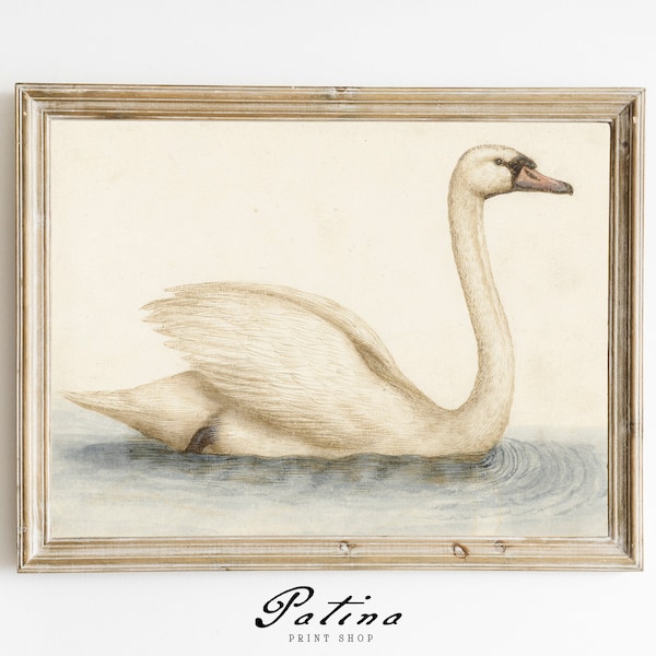 Vintage Swan Print - Etsy