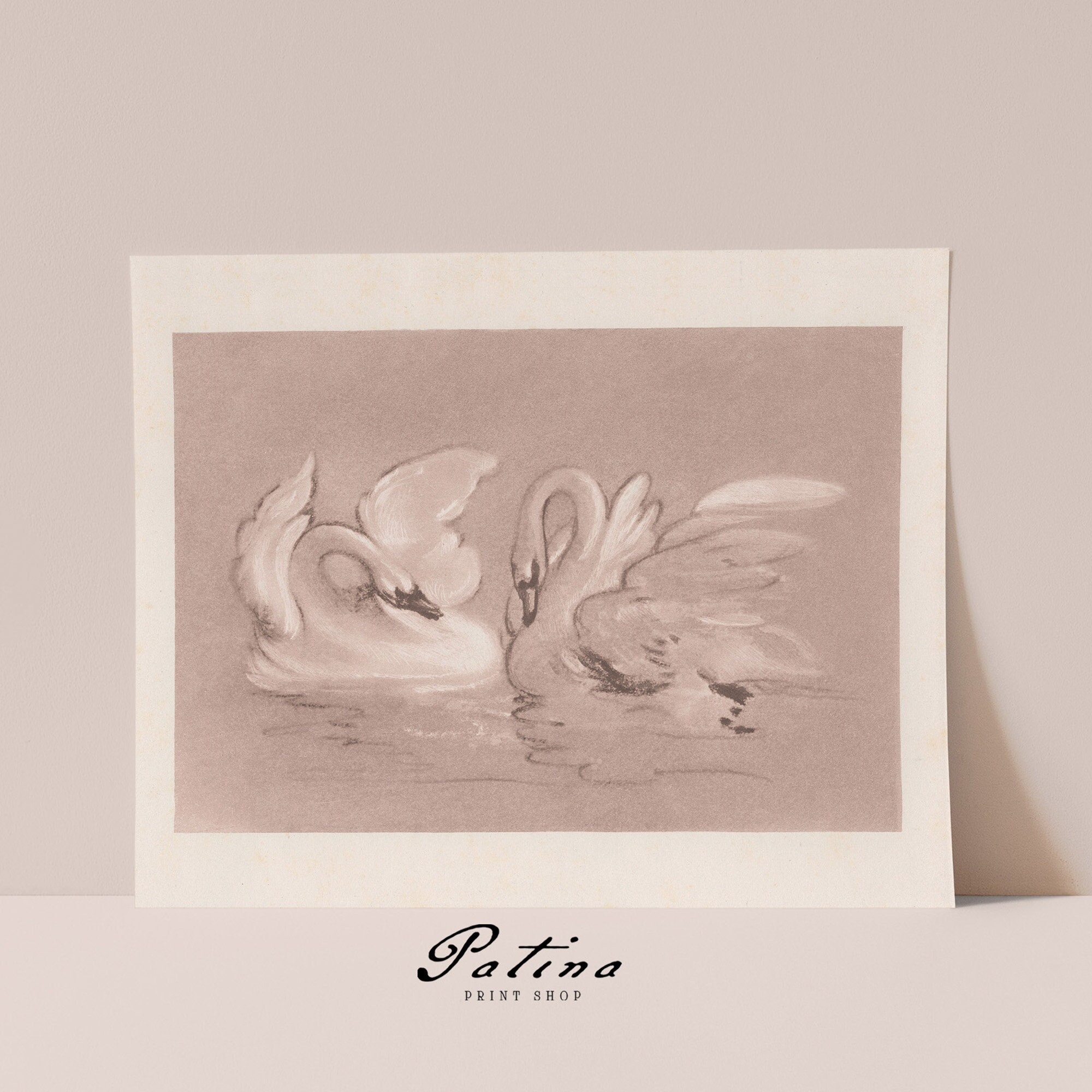 Two Swans Drawing