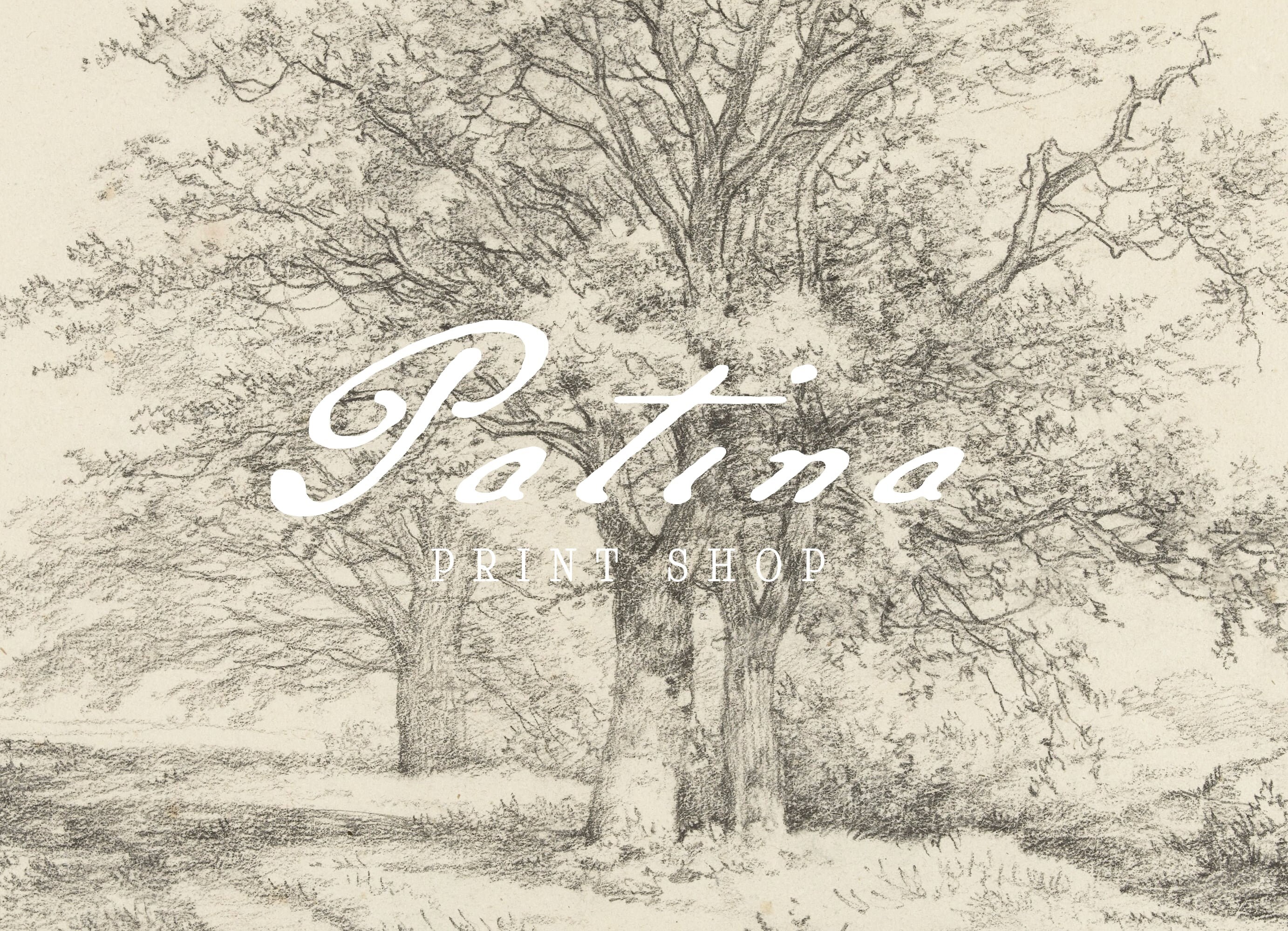 Vintage Tree Drawing | Nature Print | Botanical Sketch Art | Farmhouse ...