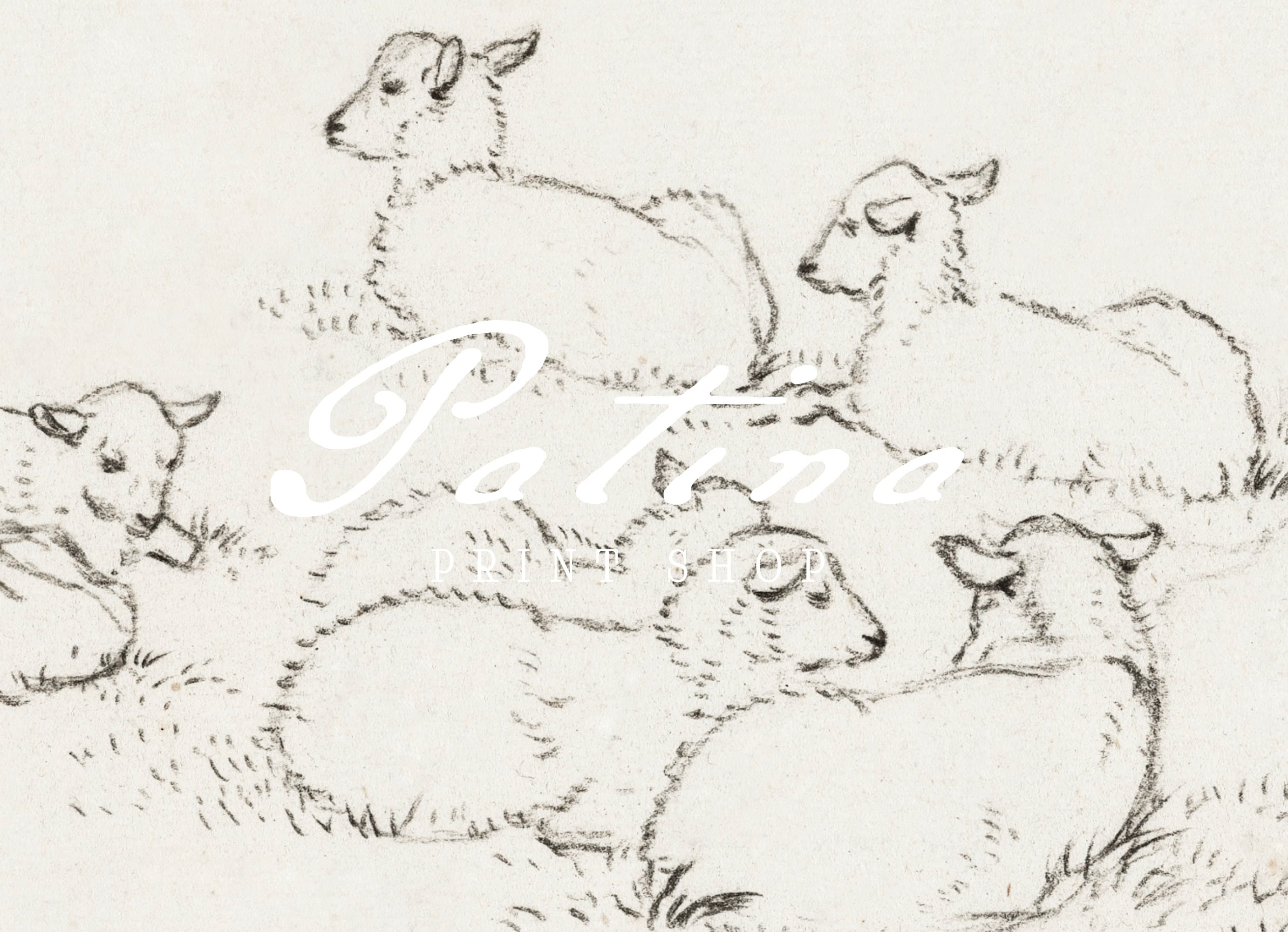Baby Sheep Drawing Nursery Art Print Vintage Drawing - Etsy