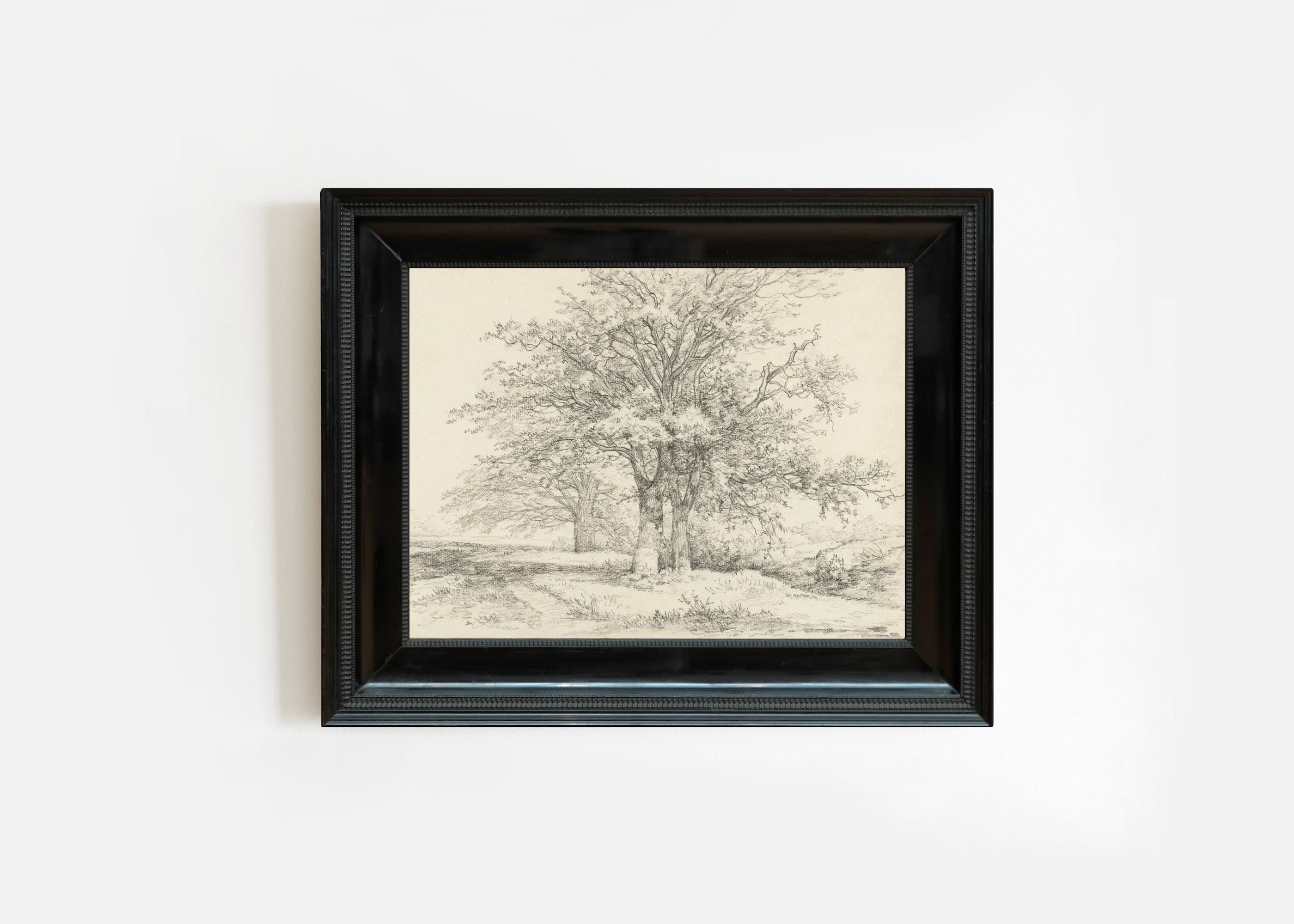 Vintage Tree Drawing | Nature Print | Botanical Sketch Art | Farmhouse ...