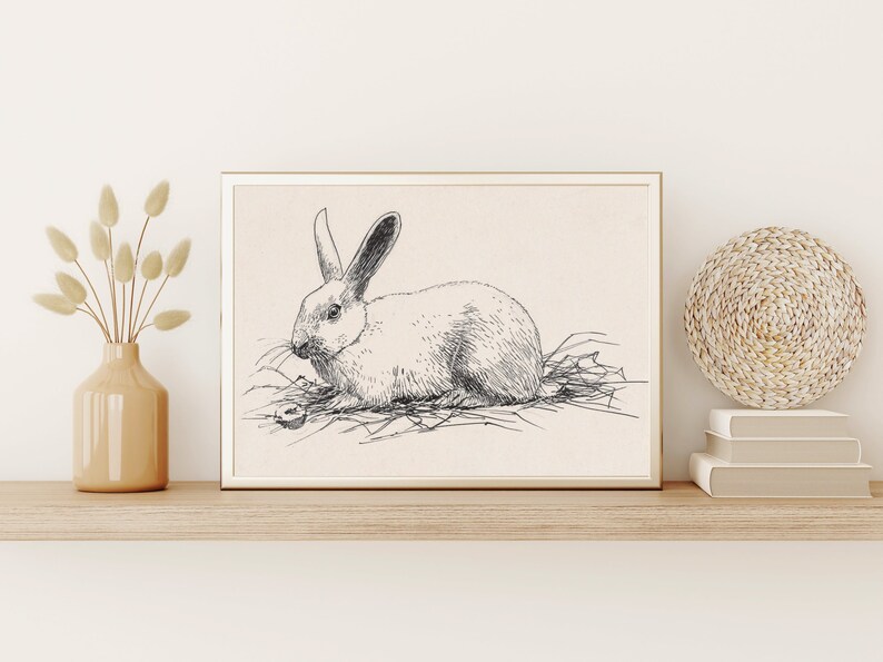 Vintage Rabbit Drawing | Antique Sketch | Vintage Animal Art | Black ...