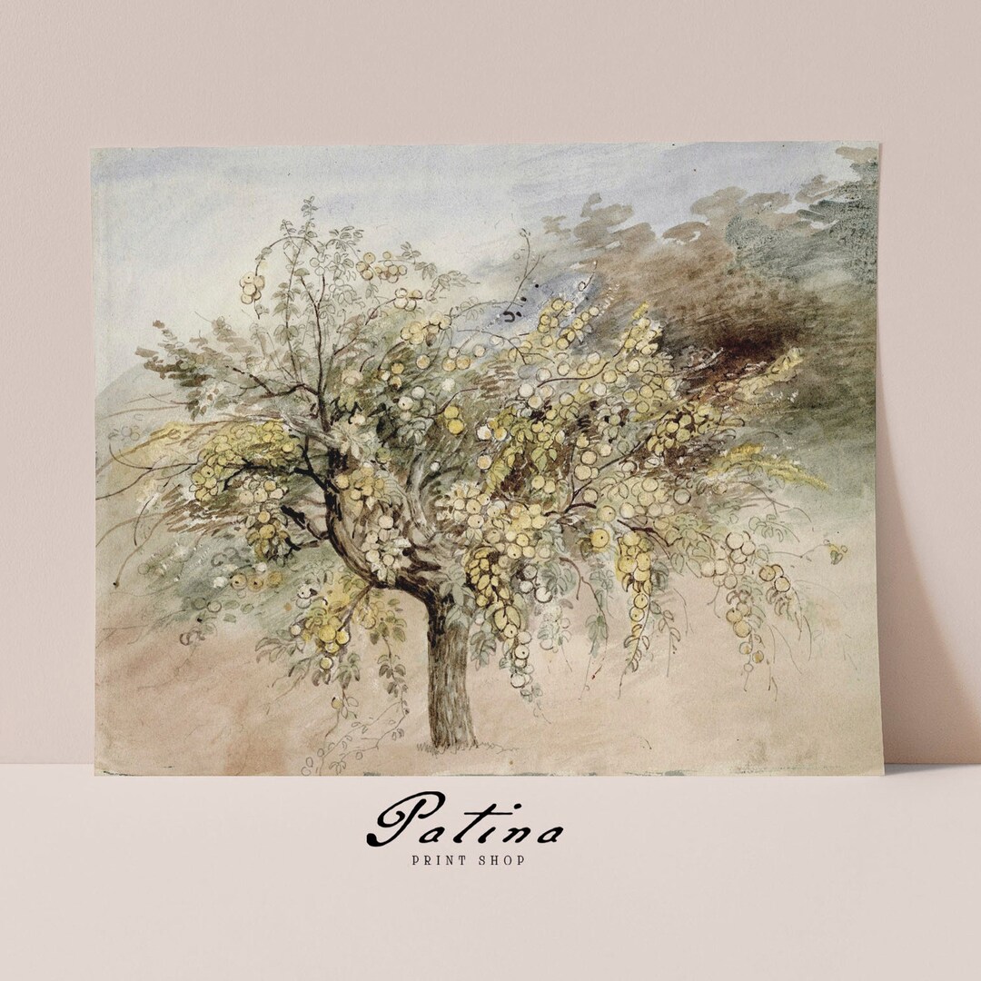 Vintage Apple Tree Print | Tree Painting | Farmhouse Decor | French ...