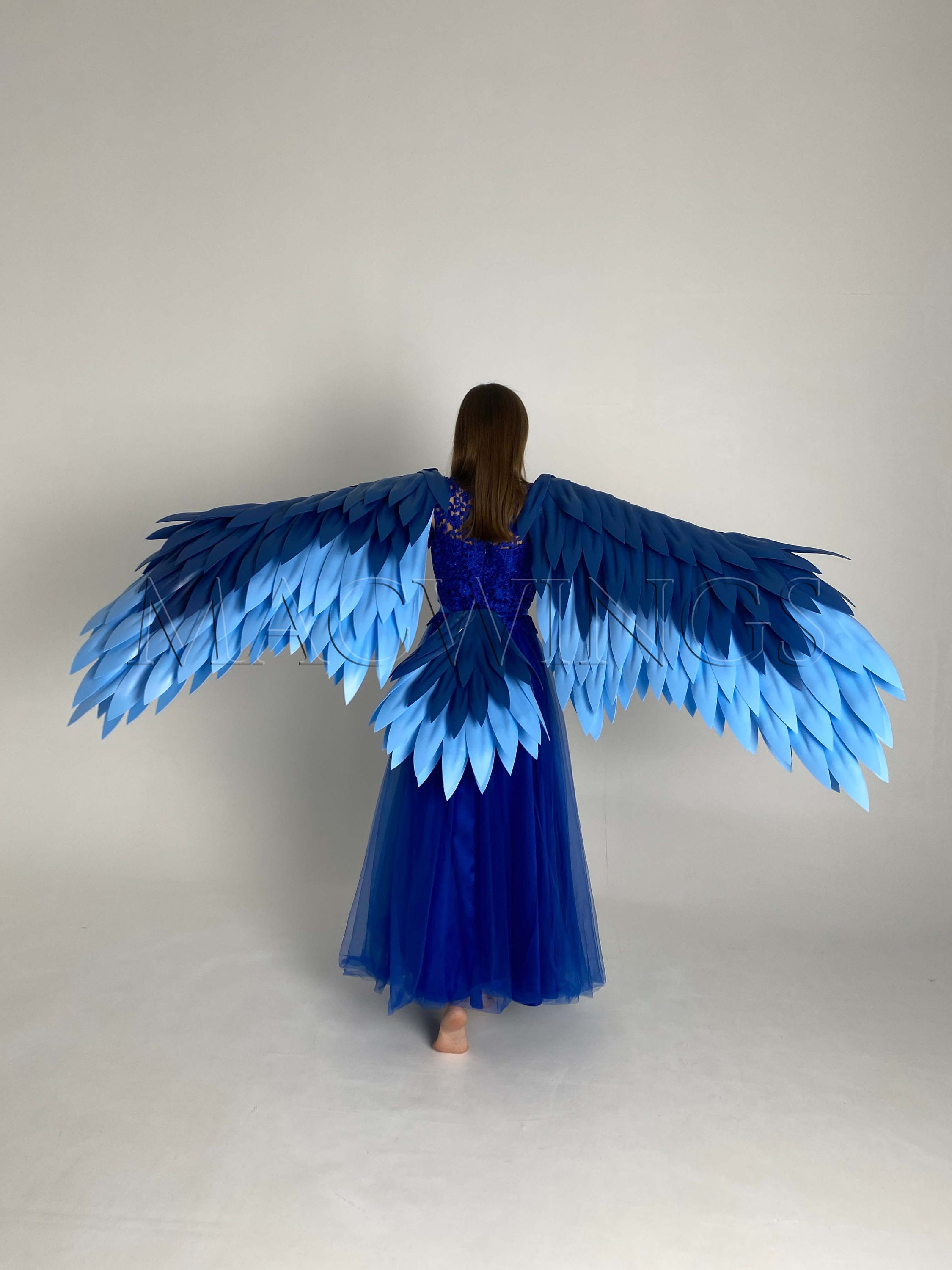 Blue Bird Wings