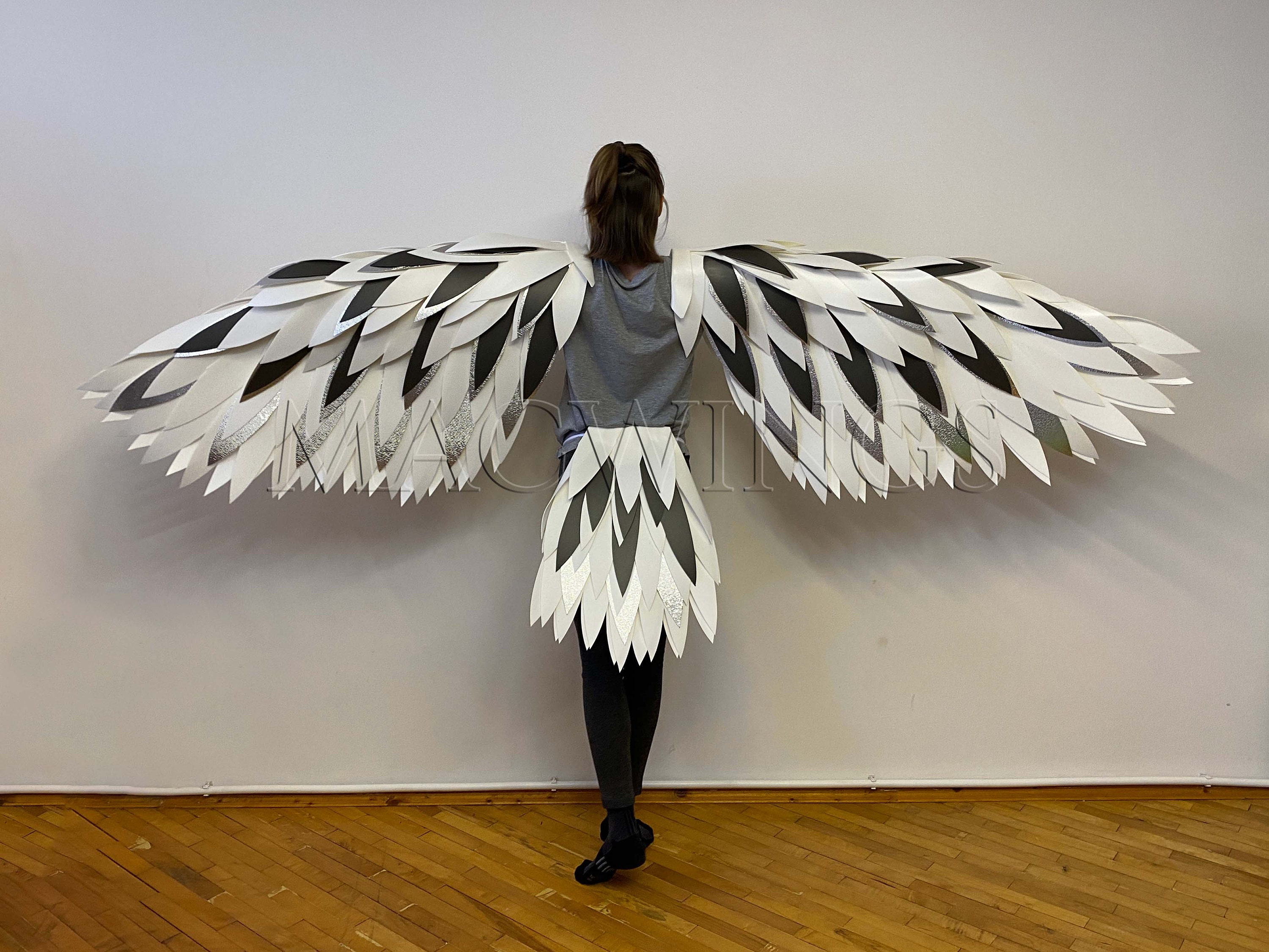 Owl With White Bands On Wings