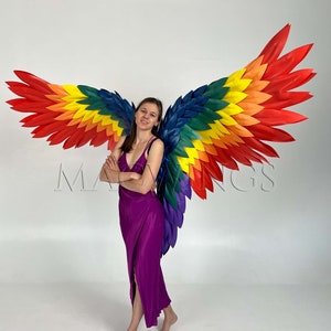 Rainbow Wings, Colorful Wings, Rainbow Outfit, Rainbow Costume, Pride ...