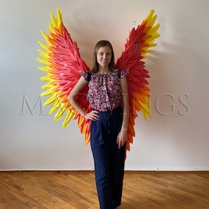 Wings of Fire, Red Wings for Cosplay Costume, Phoenix Cosplay, Flame ...