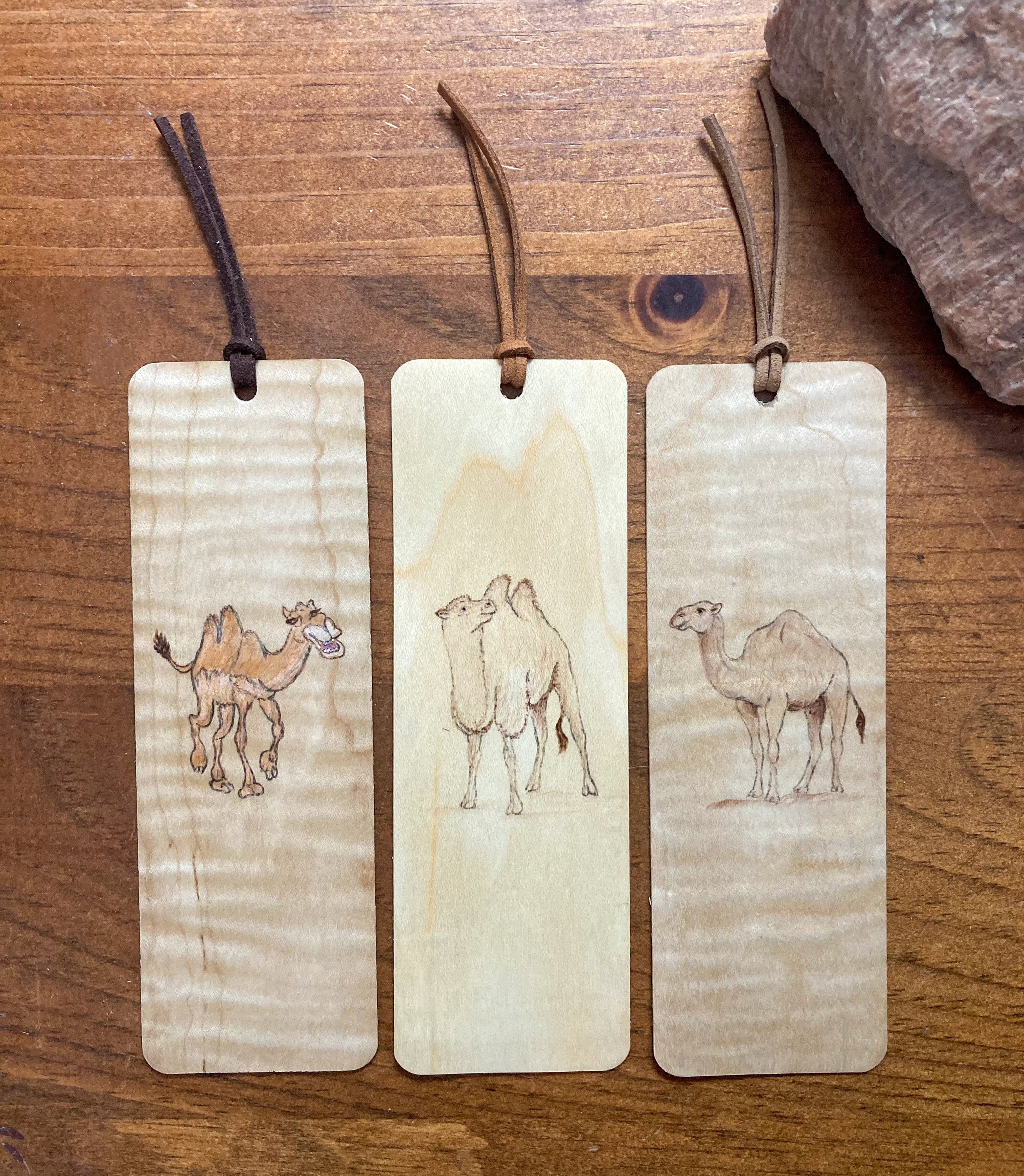 Camel Sign Camel Warning Sign Funny Camel Decor Sign Warning Sign Camel ...