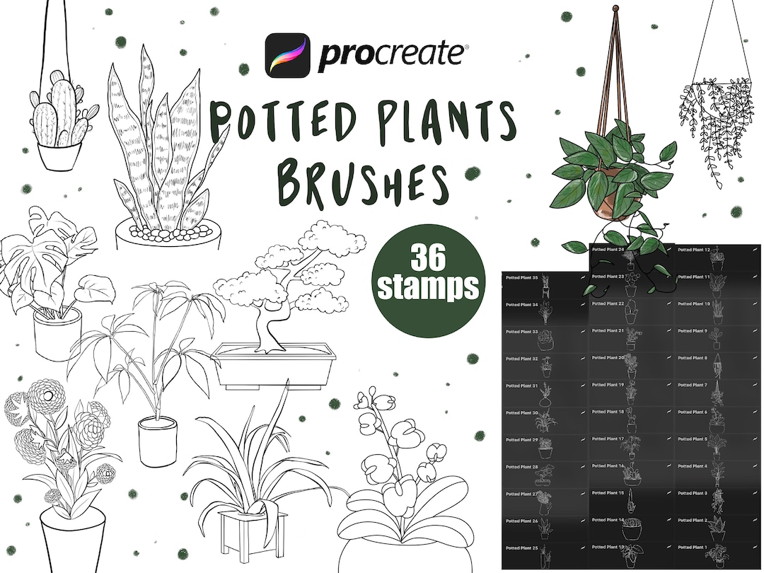 Potted Plants Stamps Procreate Brushes, Procreate Stamps, Flower ...