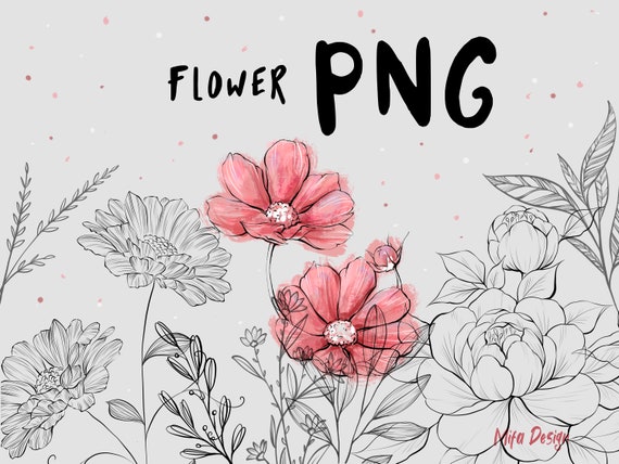 Flower Png Flower Stamps Flower Bundle Leave Png Peony | Etsy