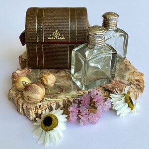 Two Antique Perfume Bottles in Leather Case, Victorian Novelty Treasure ...