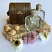Two Antique Perfume Bottles in Leather Case, Victorian Novelty Treasure ...