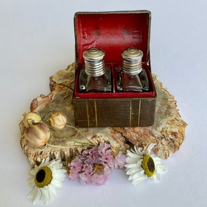 Two Antique Perfume Bottles in Leather Case, Victorian Novelty Treasure ...