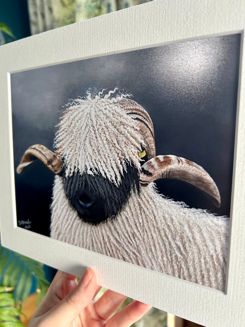 Hector the Valais Blacknose Sheep - Mounted Print - Etsy