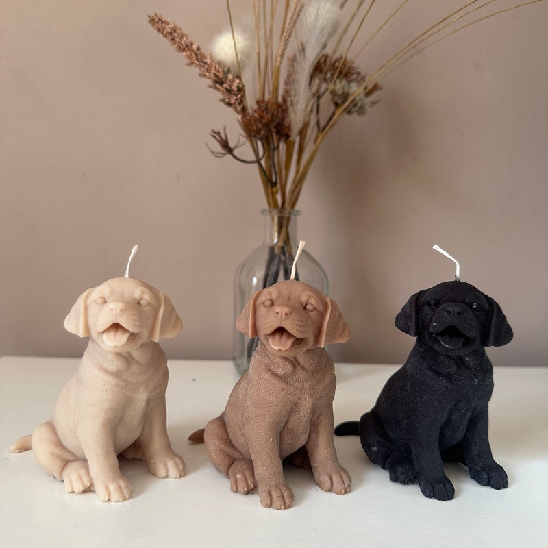 Black Labrador - Etsy