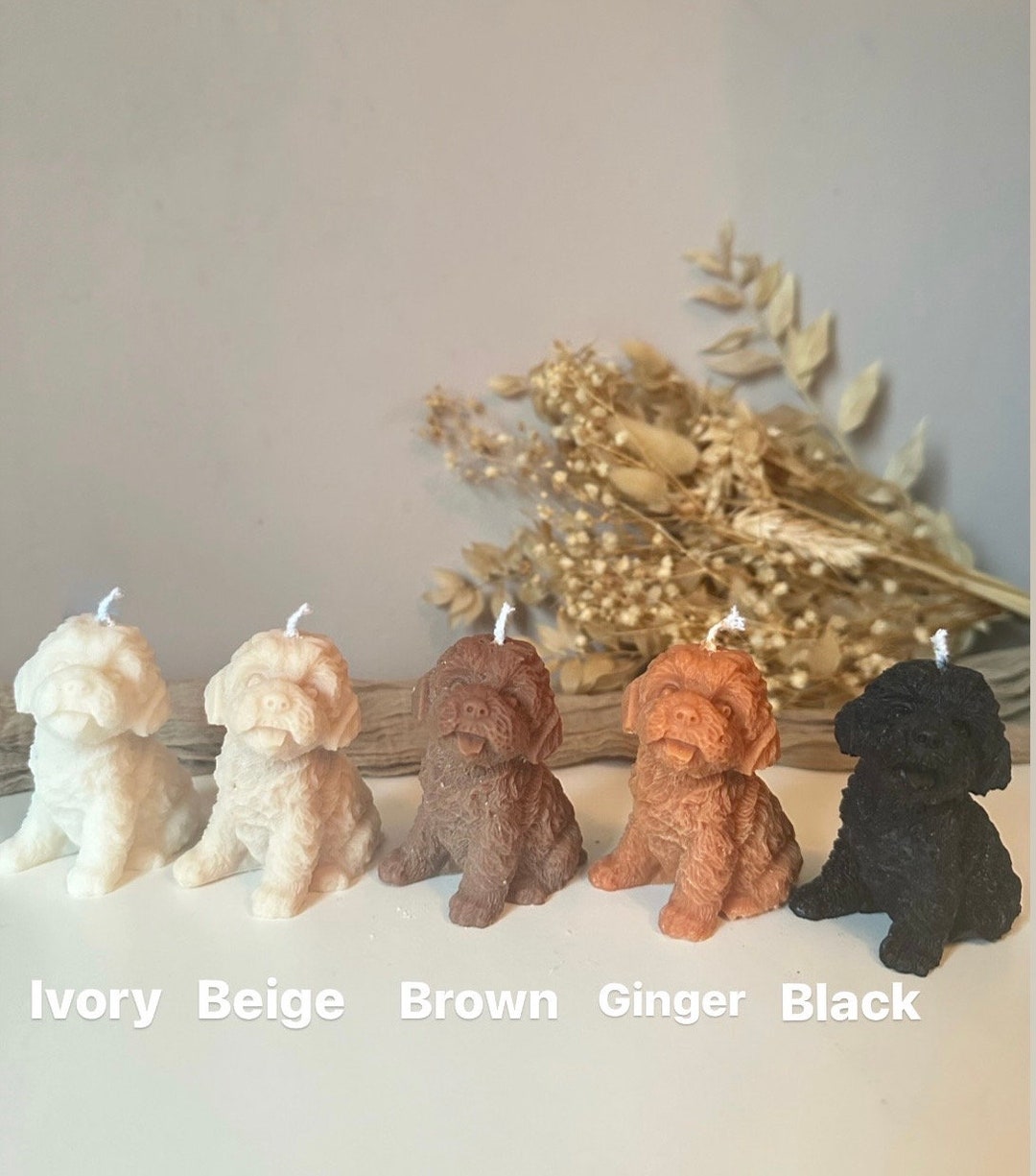 Cockapoo Candle Mini Cockapoo | Cavapoo | Multipoo | Teddy - Etsy UK