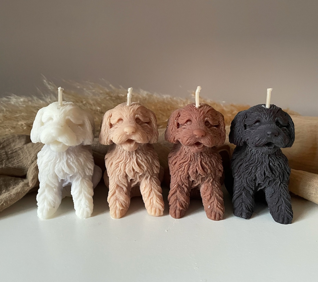 Cockapoo/cavapoo Candle/ Cockapoo | Cavapoo | Multipoo | Teddy - Etsy UK