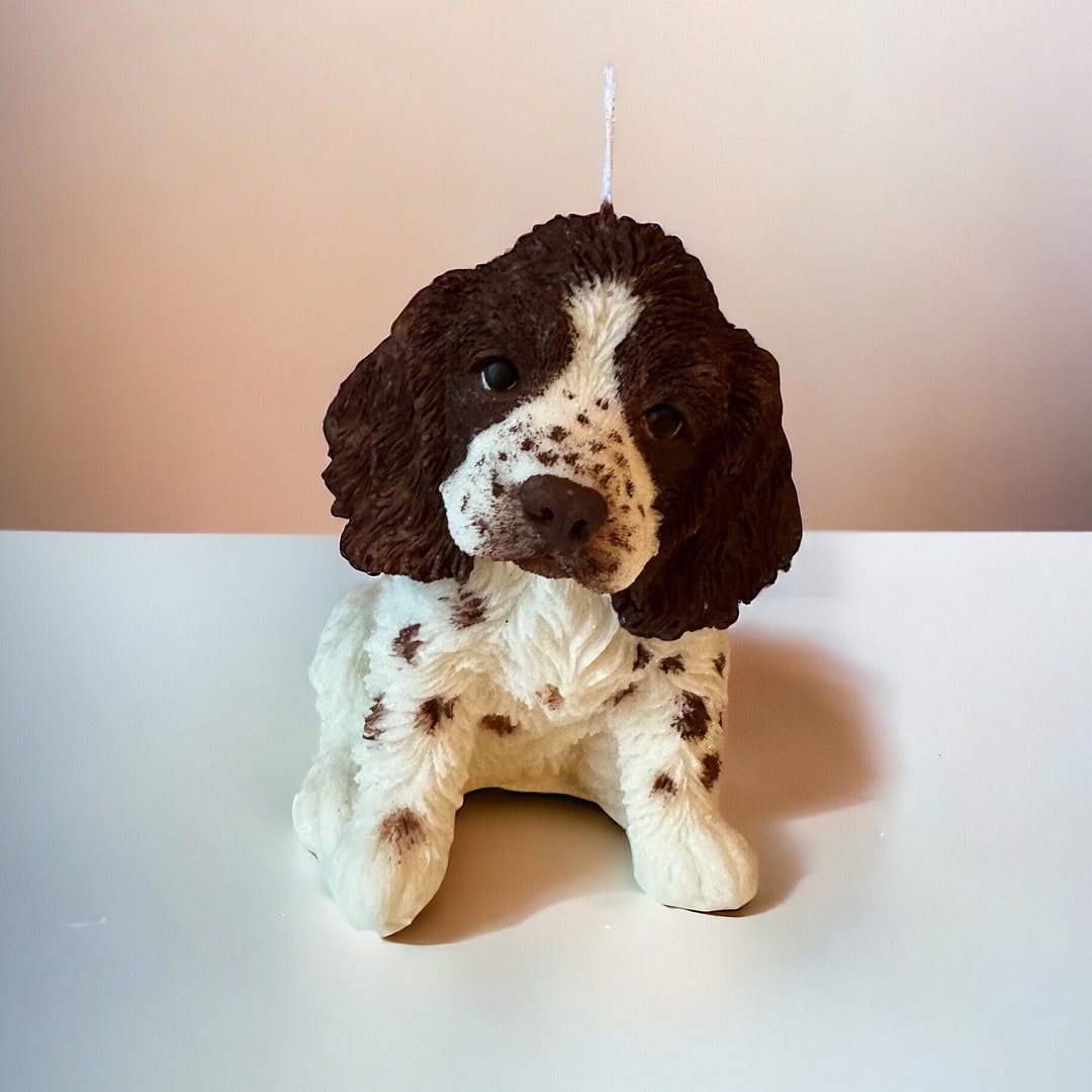 Large Spaniel Candle Cocker Spaniel Cavalier Springer Spaniel Field ...