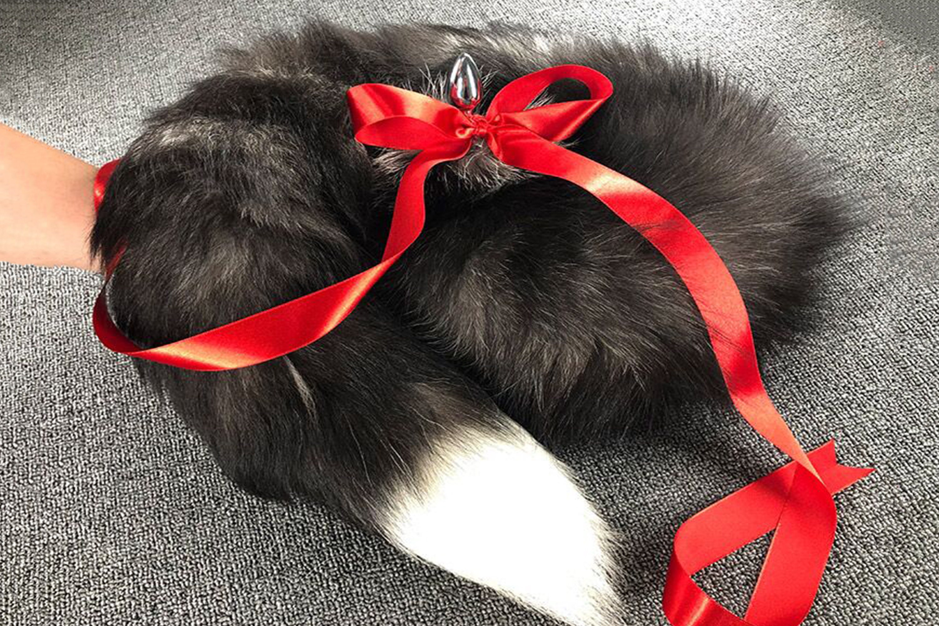 Gray Real Fox Tail Fox Tail Cosplay Anime Sexy Cute Animal - Etsy