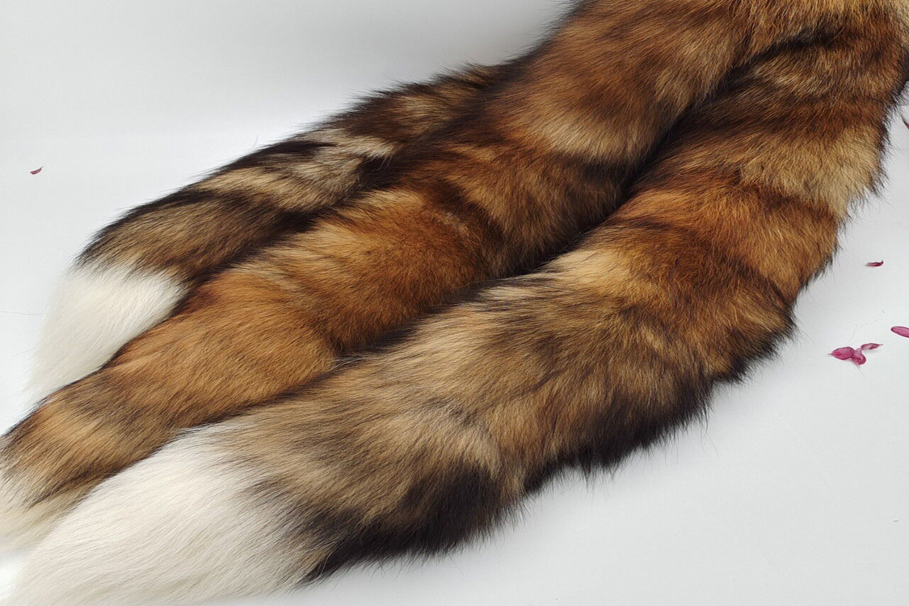 Brown 3 Tails Real Fox Tail Fox Tail Cosplay Anime Sexy Cute - Etsy