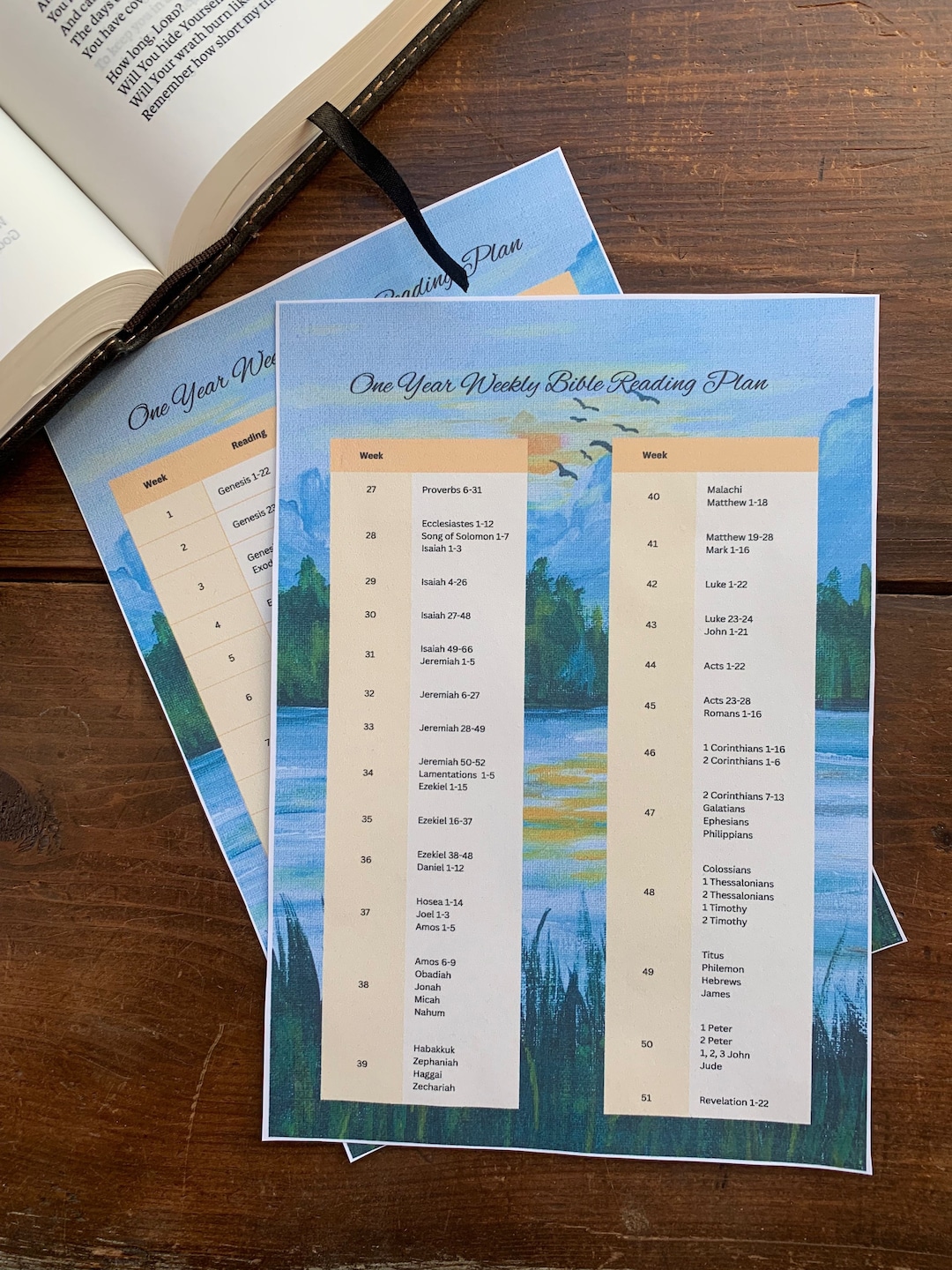 Bible in a Year Weekly Reading Plan Bible Study Schedule A5 Planner ...