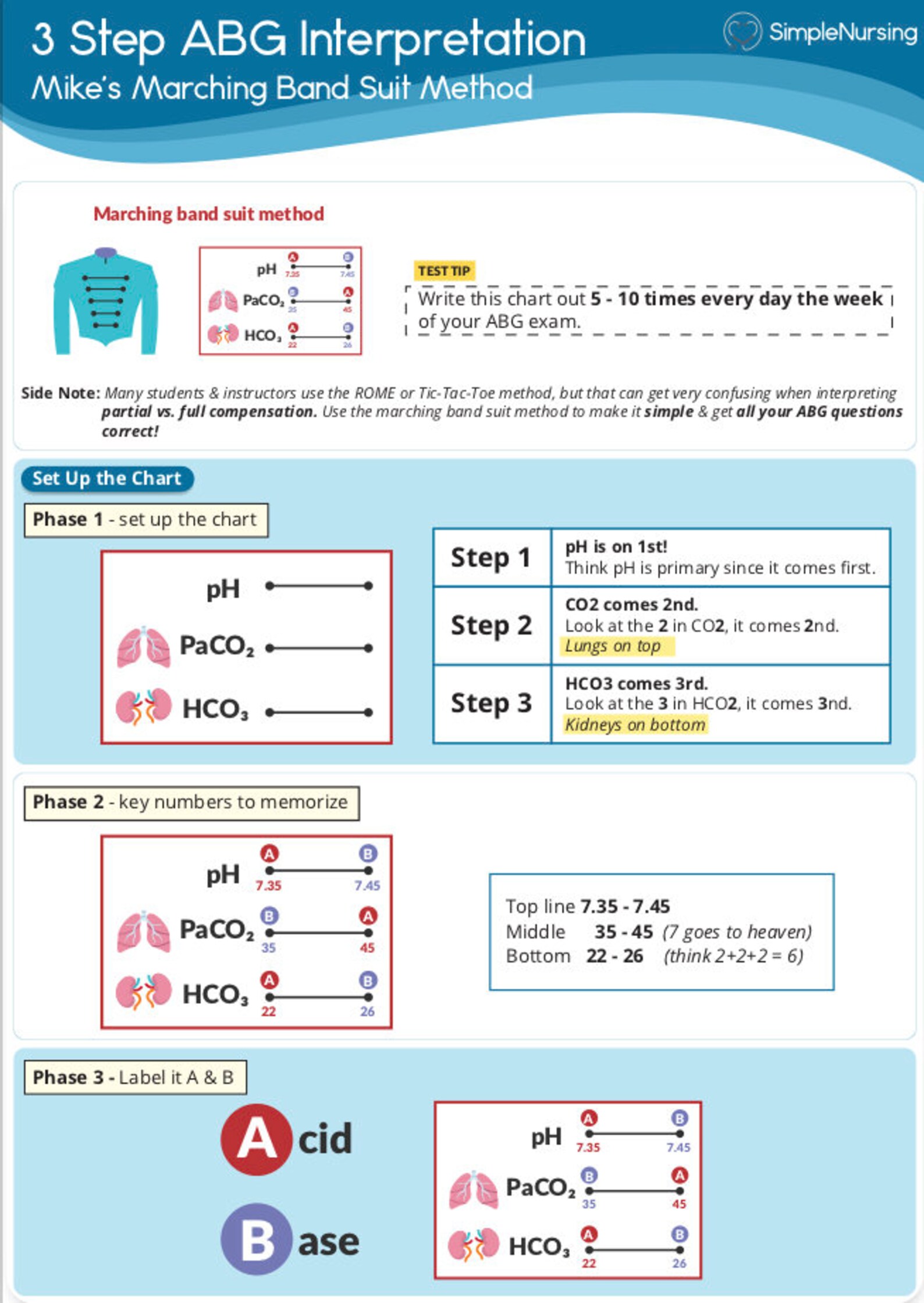 Pathophysiology Study Guide Bundle 185 Pages Digital - Etsy