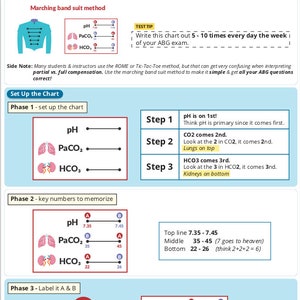 Pathophysiology Study Guide Bundle 185 Pages Digital Download - Etsy