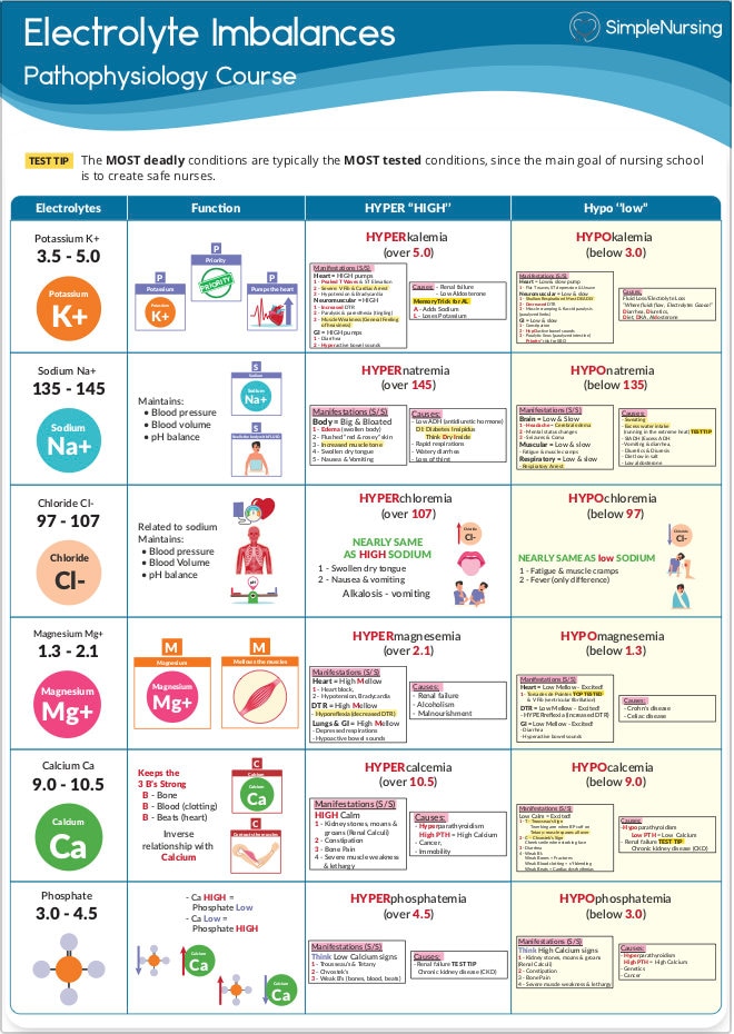 Pathophysiology Study Guide Bundle 185 Pages Digital Download - Etsy