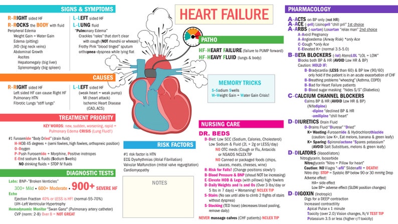 Med Surg Study Guide Bundle 200 Pages Digital Download - Etsy
