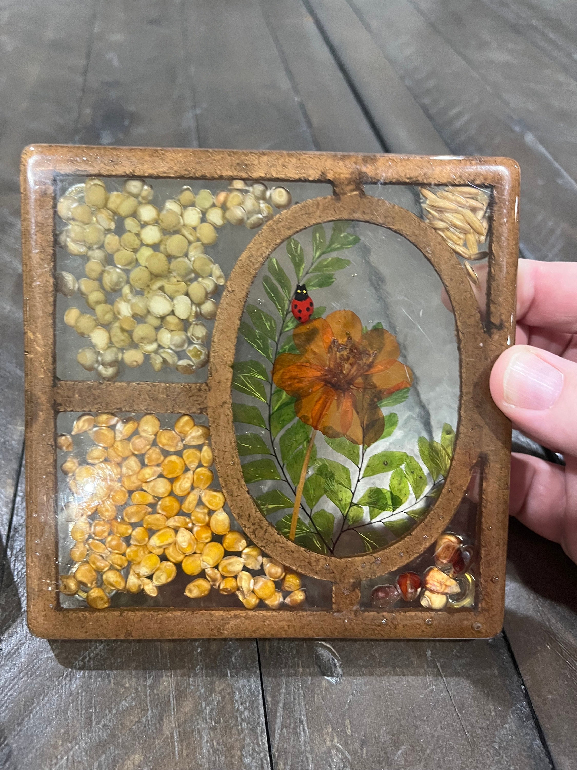 Vintage Lucite Flower Lady Bug Seeds Spoon Rest and Trivet Plastic - Etsy