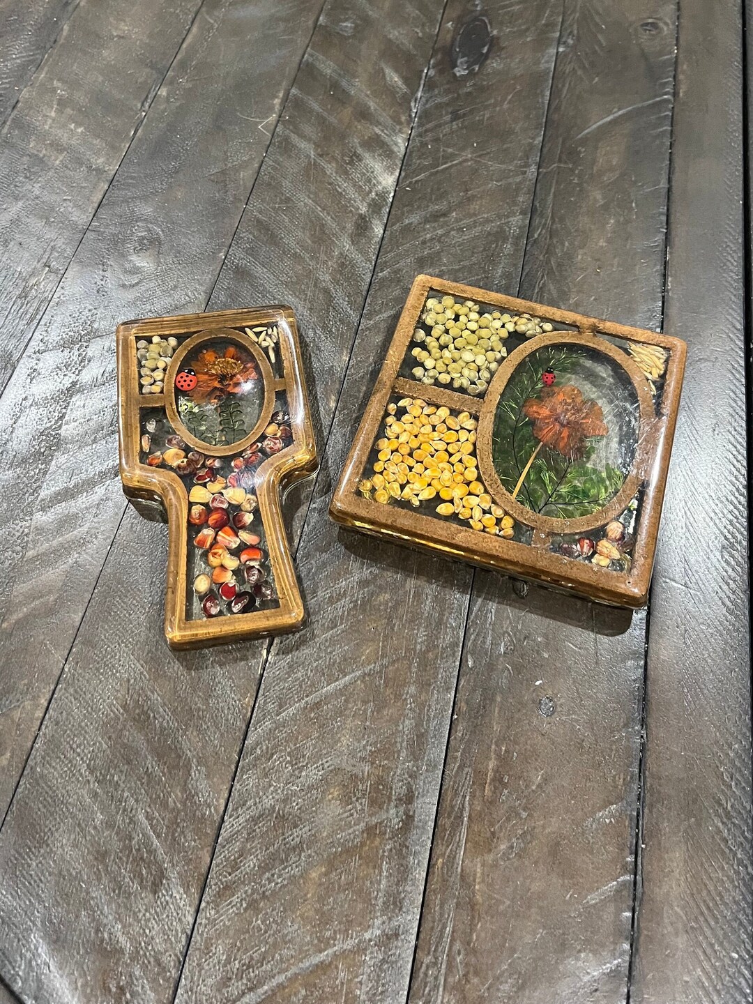 Vintage Lucite Flower Lady Bug Seeds Spoon Rest and Trivet Plastic - Etsy