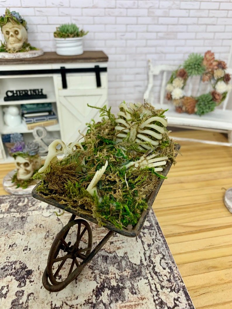 Miniature Skeleton and Bones in a Rusty Wheelbarrow for - Etsy
