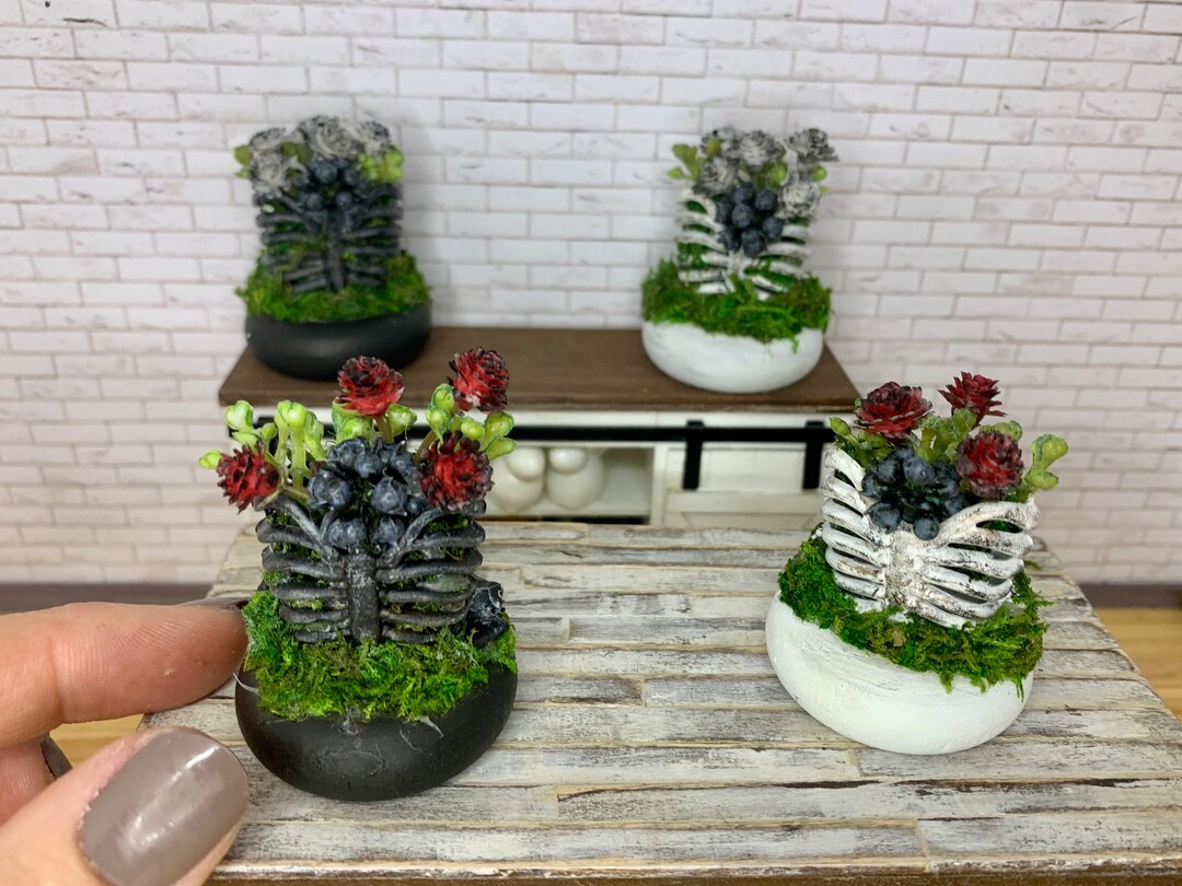 Miniature Dollhouse Halloween/witchy Rib Planter With - Etsy