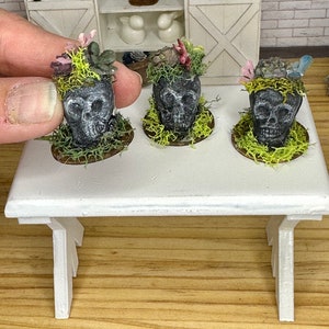 Miniature Dollhouse Succulent Skull Planter, Scary, Witchy, Halloween ...