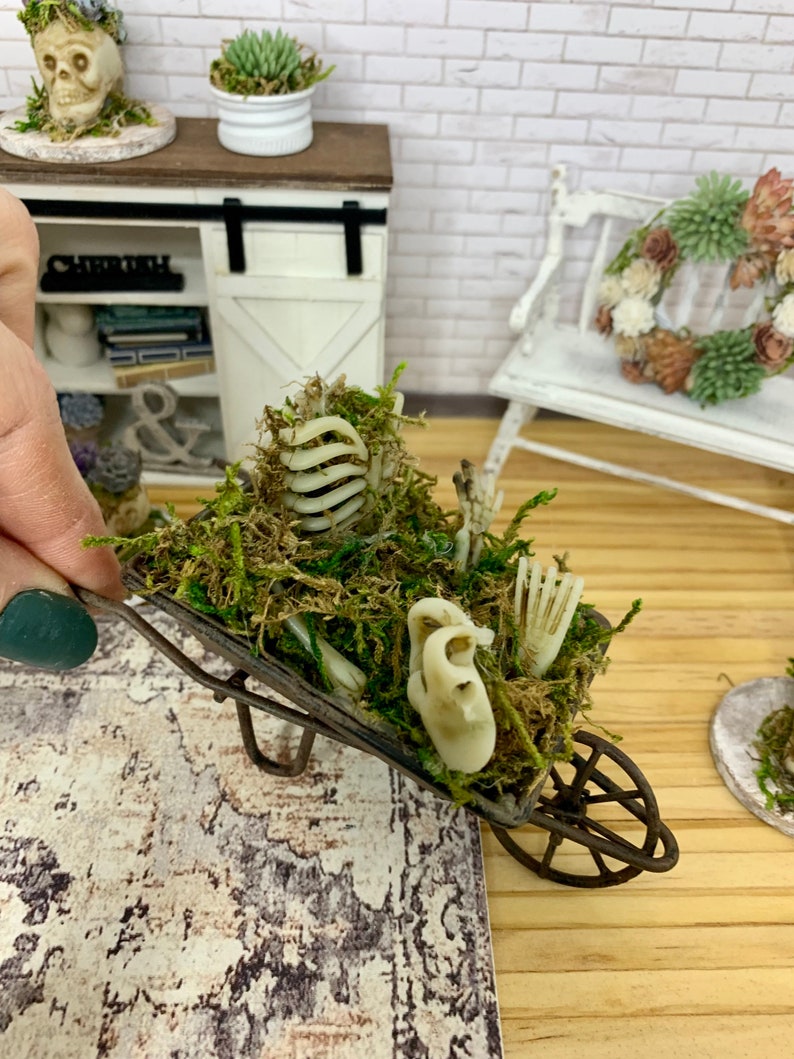 Miniature Skeleton and Bones in a Rusty Wheelbarrow for - Etsy