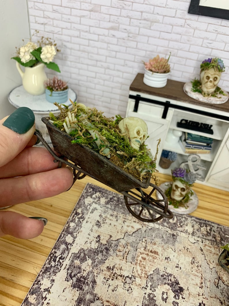 Miniature Skeleton and Bones in a Rusty Wheelbarrow for - Etsy
