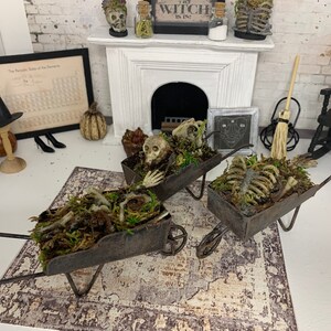 Miniature Skeleton and Bones in a Rusty Wheelbarrow for Haunted or ...