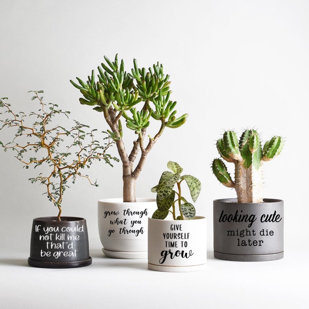 Planter Decals, Happiness Blooms From Within, Emotional Support Plant ...