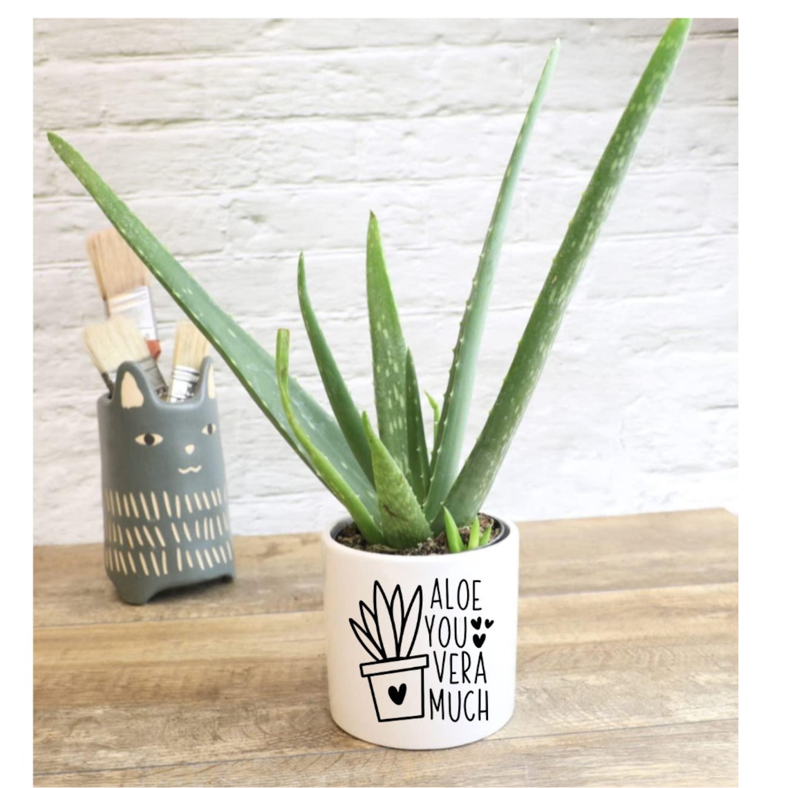 Planter Decals, Aloe You Vera Much,soil Mate, Hey Succa, Emotional ...
