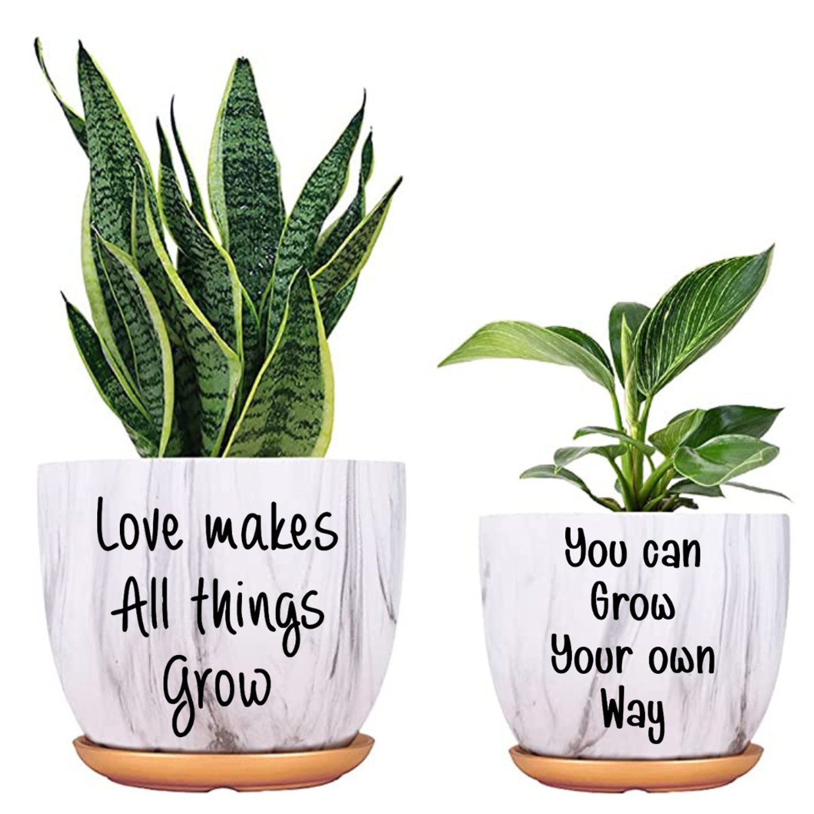Planter Decals, Bloom in Grace, the Plant Life Chose Me, Proud of My ...
